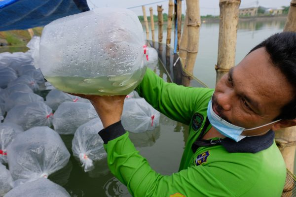 Puluhan Tahun Tak Berfungsi, Lahan BTKD Pakal Kini Serap 150 Tenaga ...